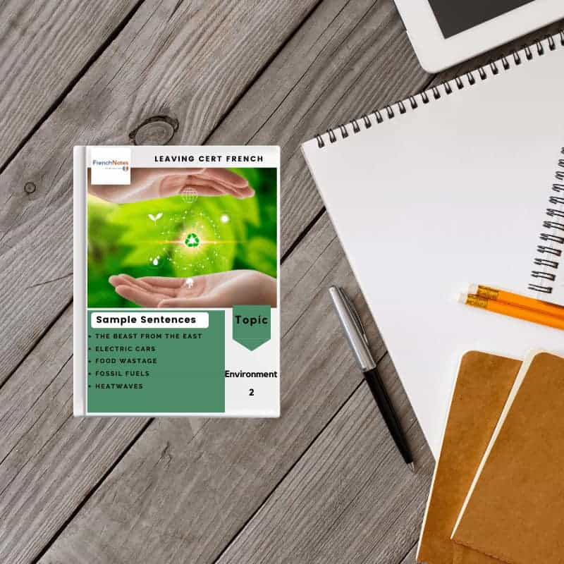 French Notes Leaving Cert Shop - French Notes